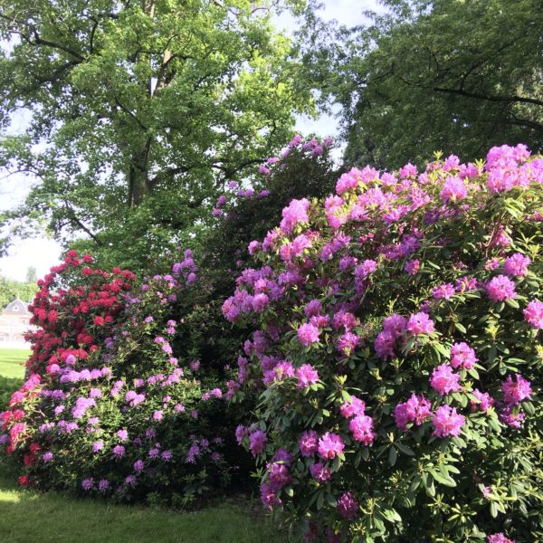 What to Do in Geneva This Spring: Activities and Events in Town and by ...